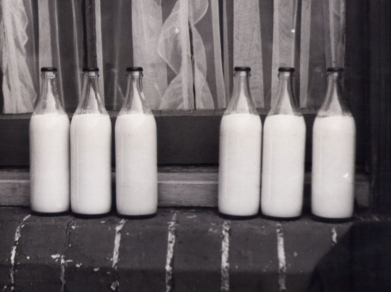 20 Everyday Things From Our Childhood That Quietly Disappeared ...
